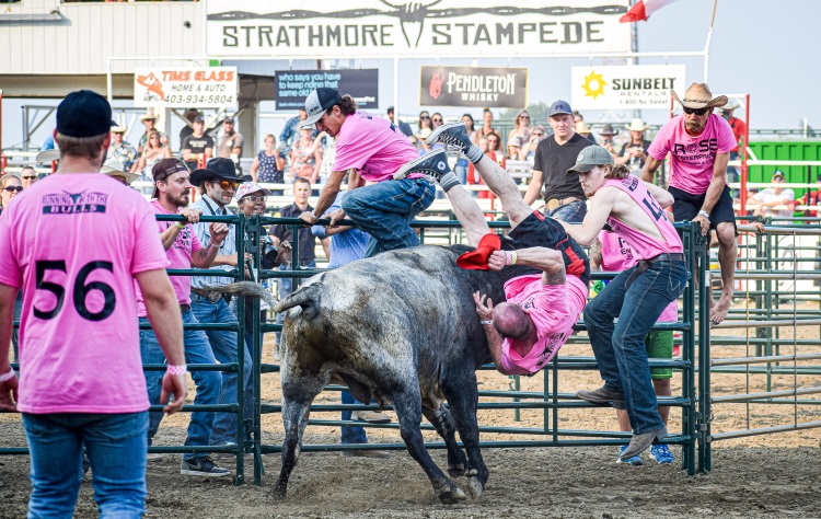 10 things to do at the Strathmore Stampede | portals