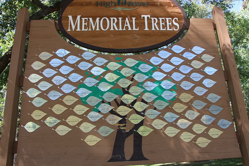 Memorial Tree ceremony coming up this week | portals