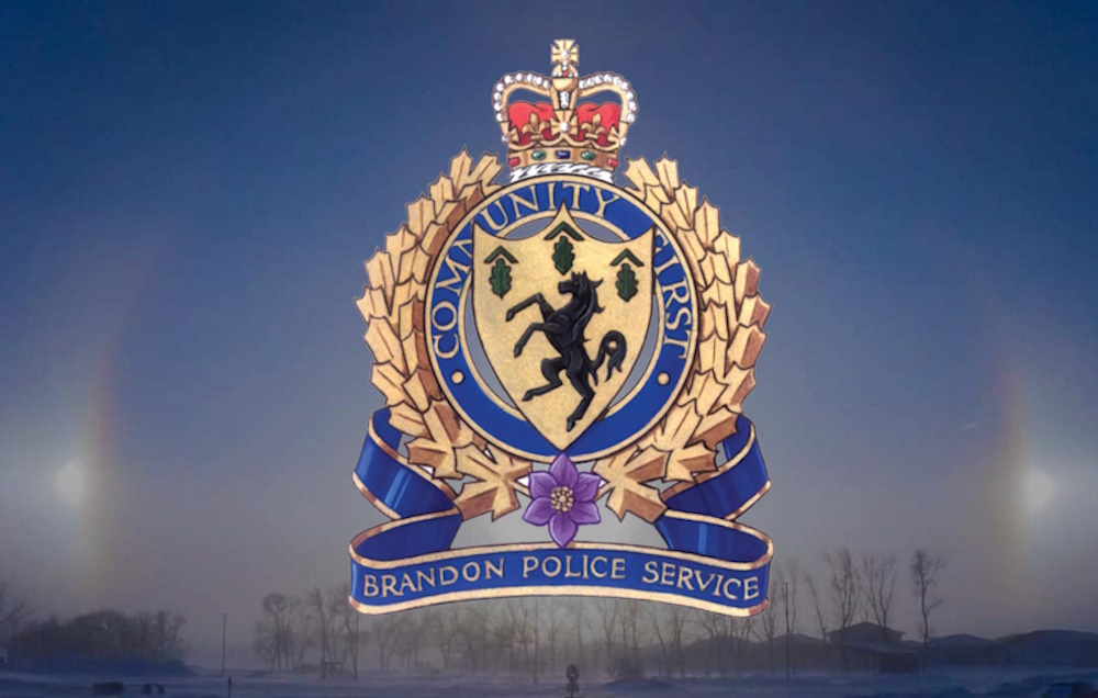 Brandon Police Service - March 8th Report | portals
