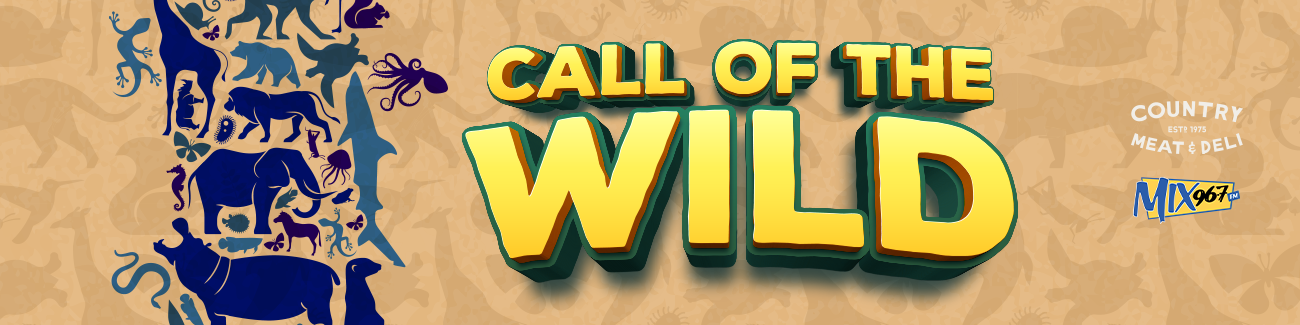 Call of the Wild Mix - SteinbachOnline.com - Local news, Weather ...