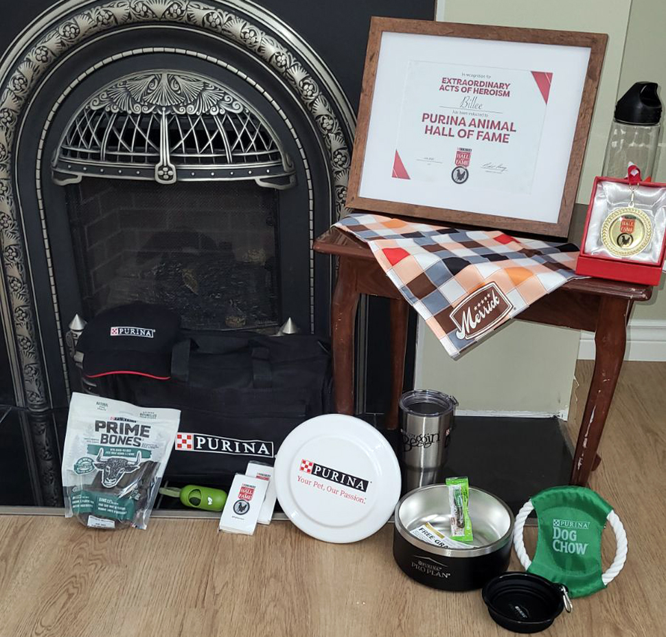 Steinbach pet inducted into Purina Animal Hall of Fame ...