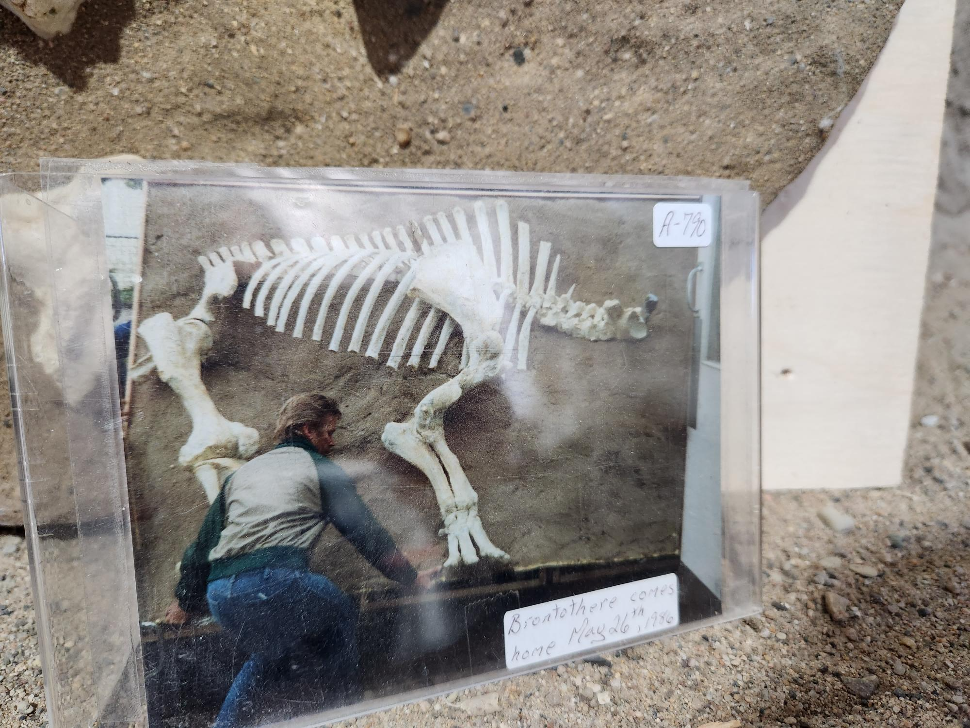 How one grader operator uncovered a world class scientific discovery ...