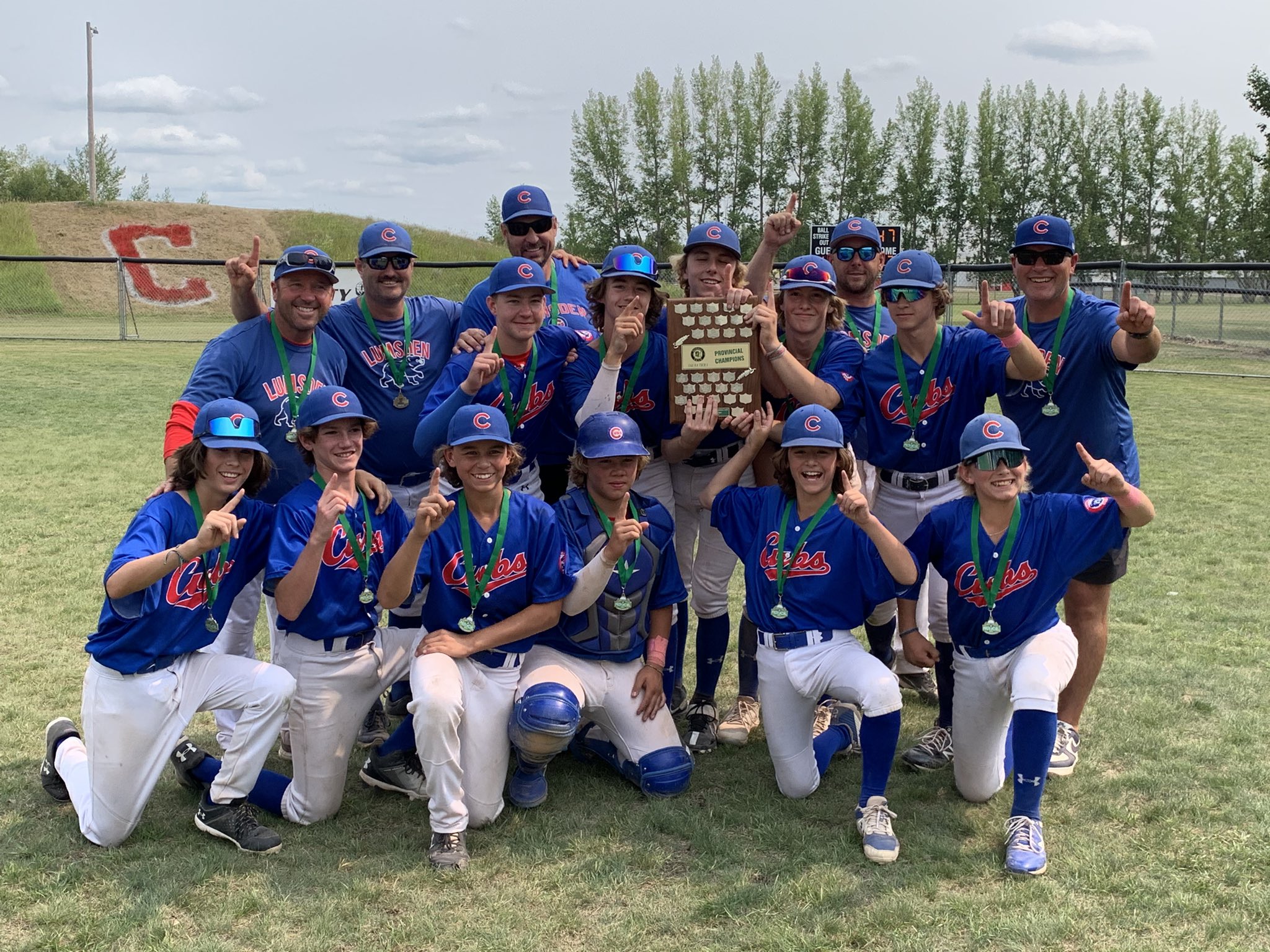 Near weekend sweep for local provincial baseball hosts ...