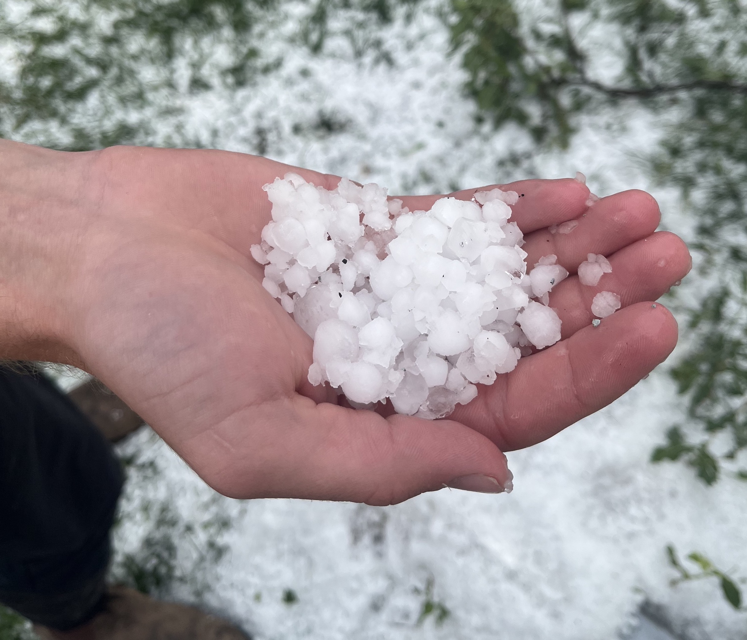 Aftermath of the tempest that struck Swift Current - SwiftCurrentOnline ...