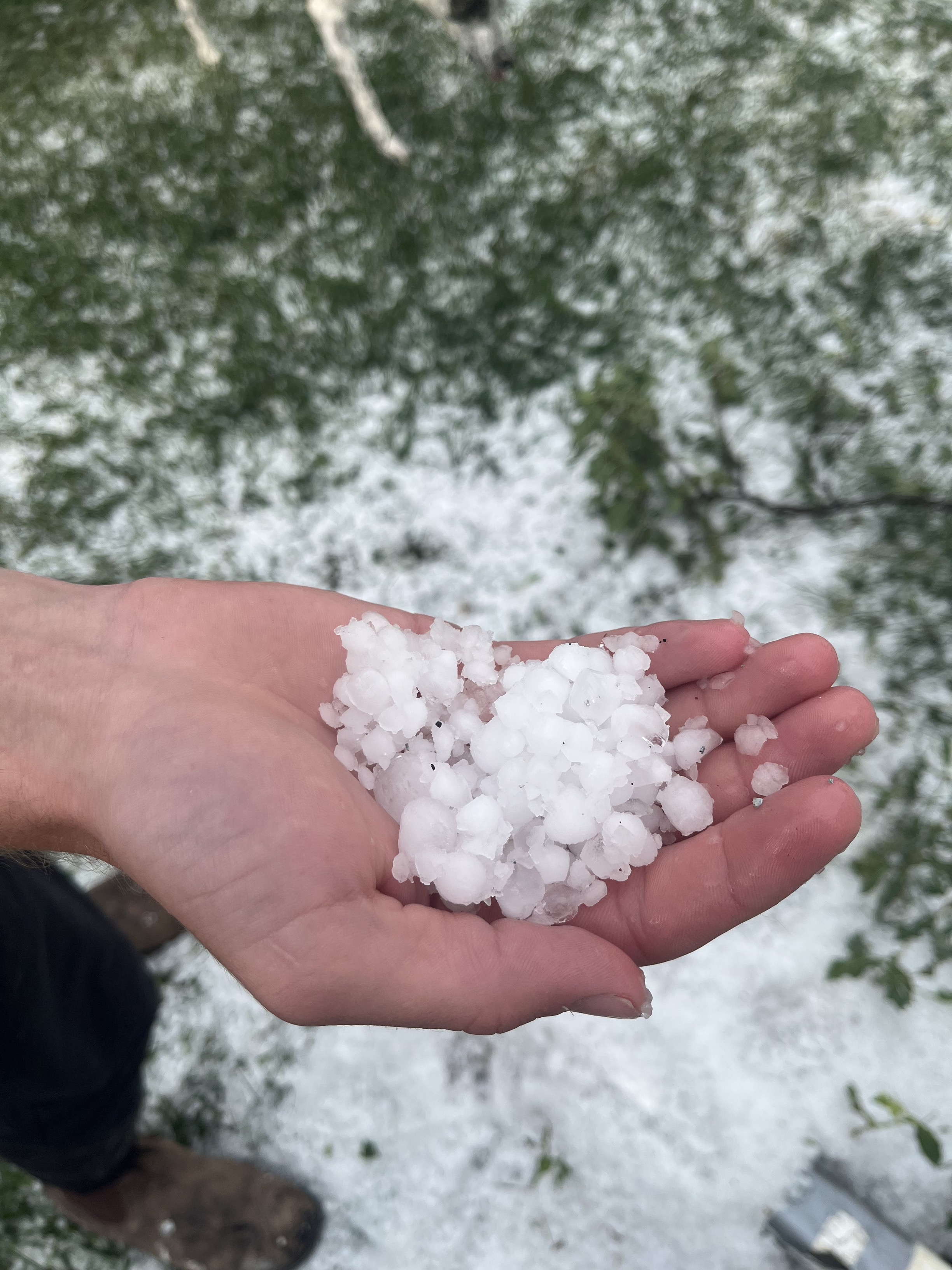 PHOTOS: storm brings flash flooding and hail - SwiftCurrentOnline.com ...