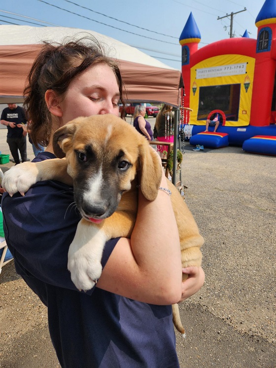SPCA Market draws in onlookers with puppy dog eyes - SwiftCurrentOnline ...
