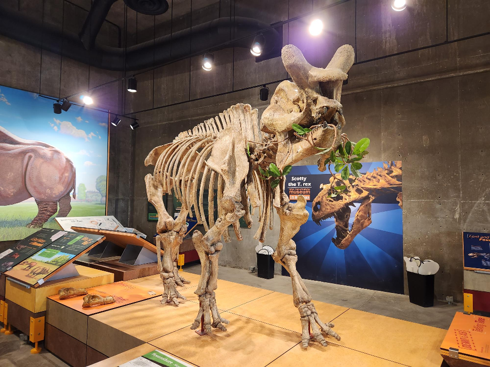 How one grader operator uncovered a world class scientific discovery ...