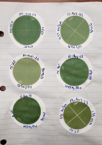 Odour and taste issues resurface in Moose Jaw's drinking water ...