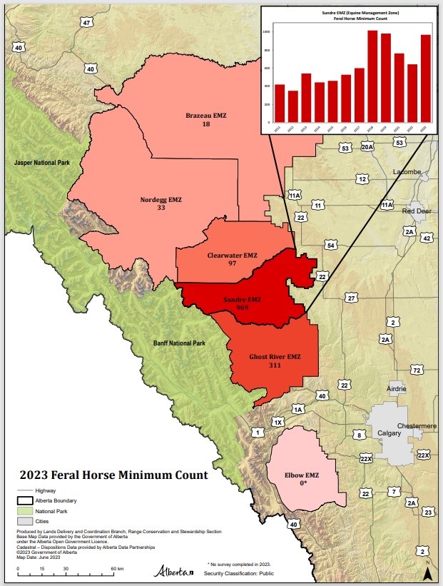 Horses running wild west of Okotoks and High River - OkotoksOnline.com ...