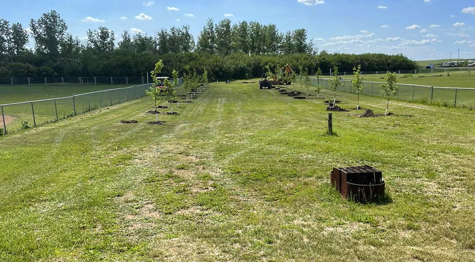 Planting project at Nickle Lake will keep future generations in the ...