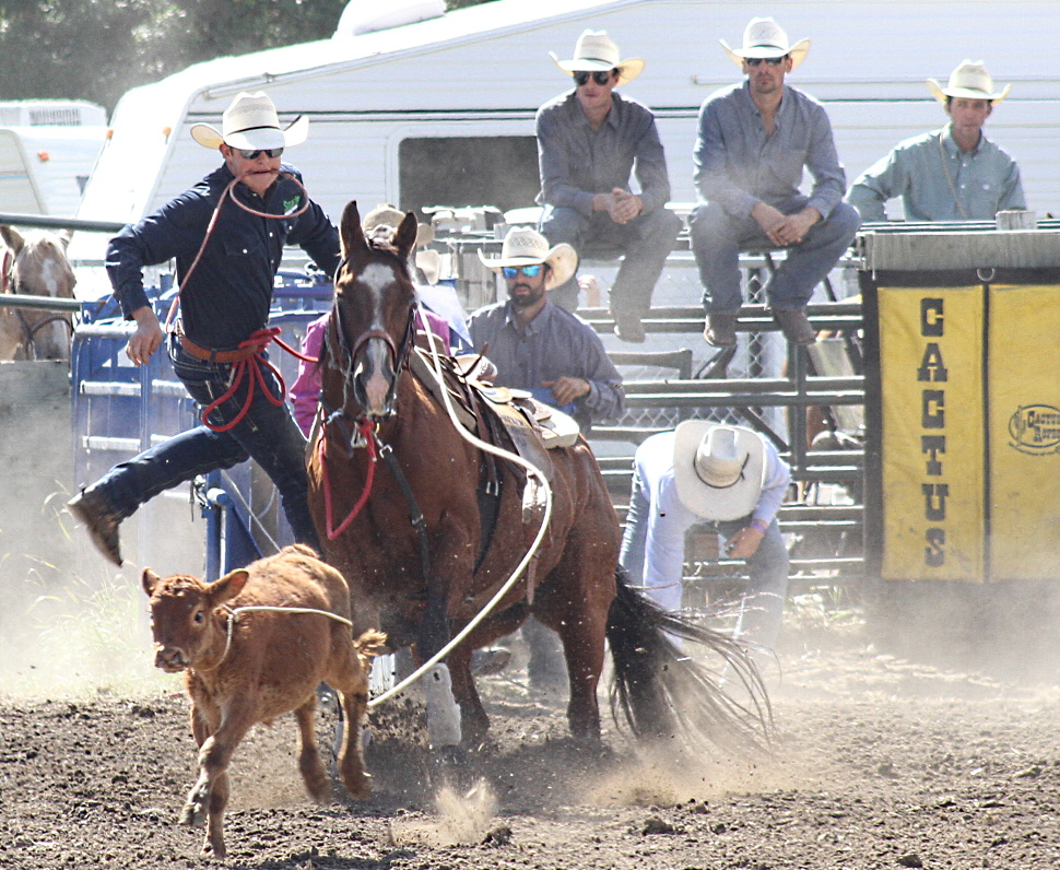Countdown to Lions Labour Day Weekend Rodeo - CochraneNow: Cochrane ...