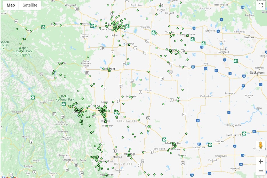 Over 500 ticks reported this season in Alberta - CochraneNow: Cochrane ...